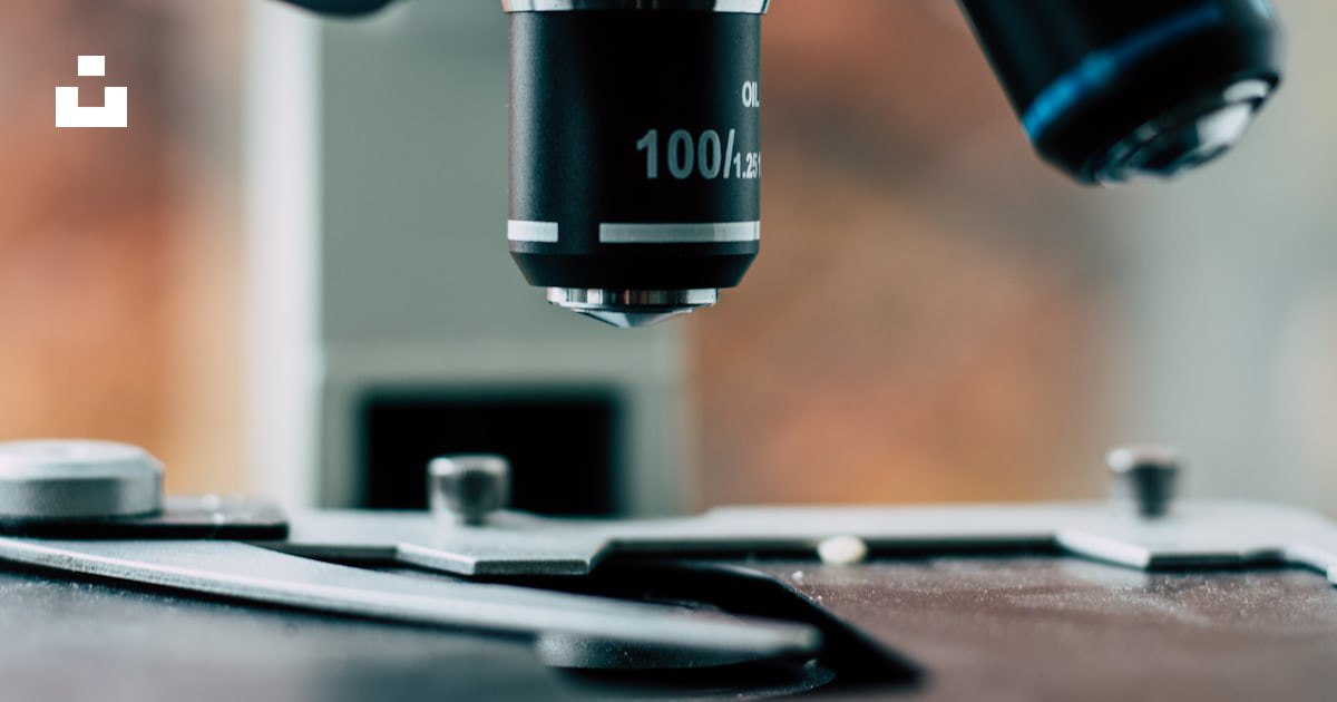 Mod GRF 1-29 and Ipamorelin: Adipose and Bone Cell Research - Новости ...