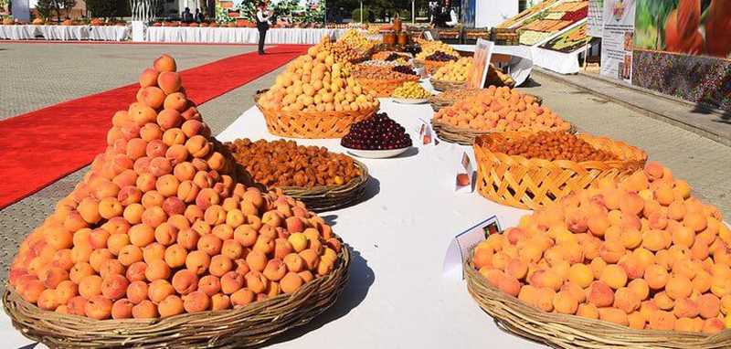 В «Парке Ирам» будет отмечен Тиргон с Праздником абрикосов - Новости ...