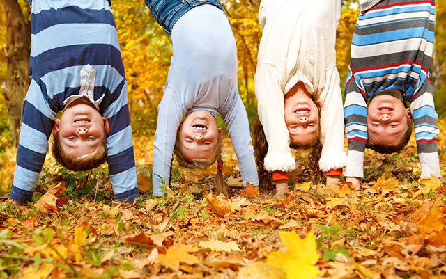 Осенние каникулы в школах Таджикистана начнутся 1 ноября - Новости ...